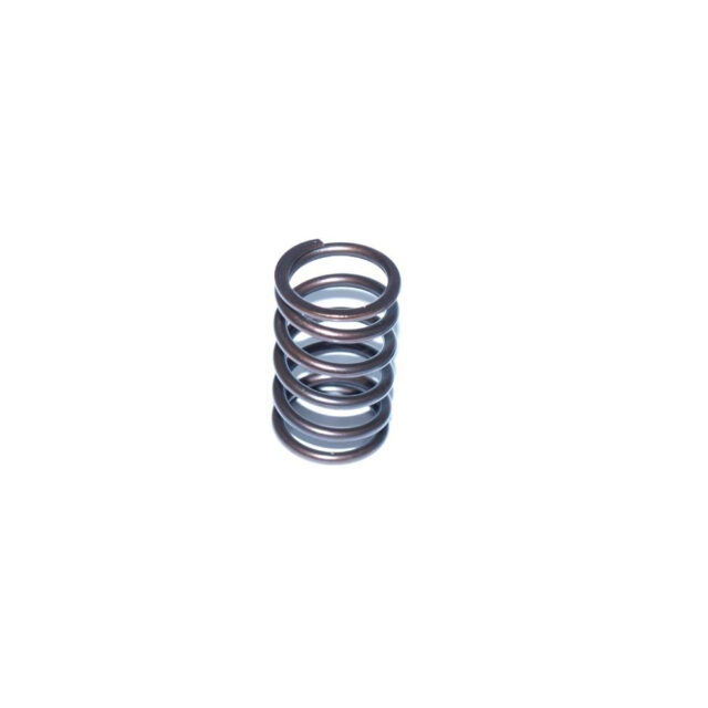 Schrick Inner Valve Spring (S14/S50B30/S50B32) - Hack Engineering