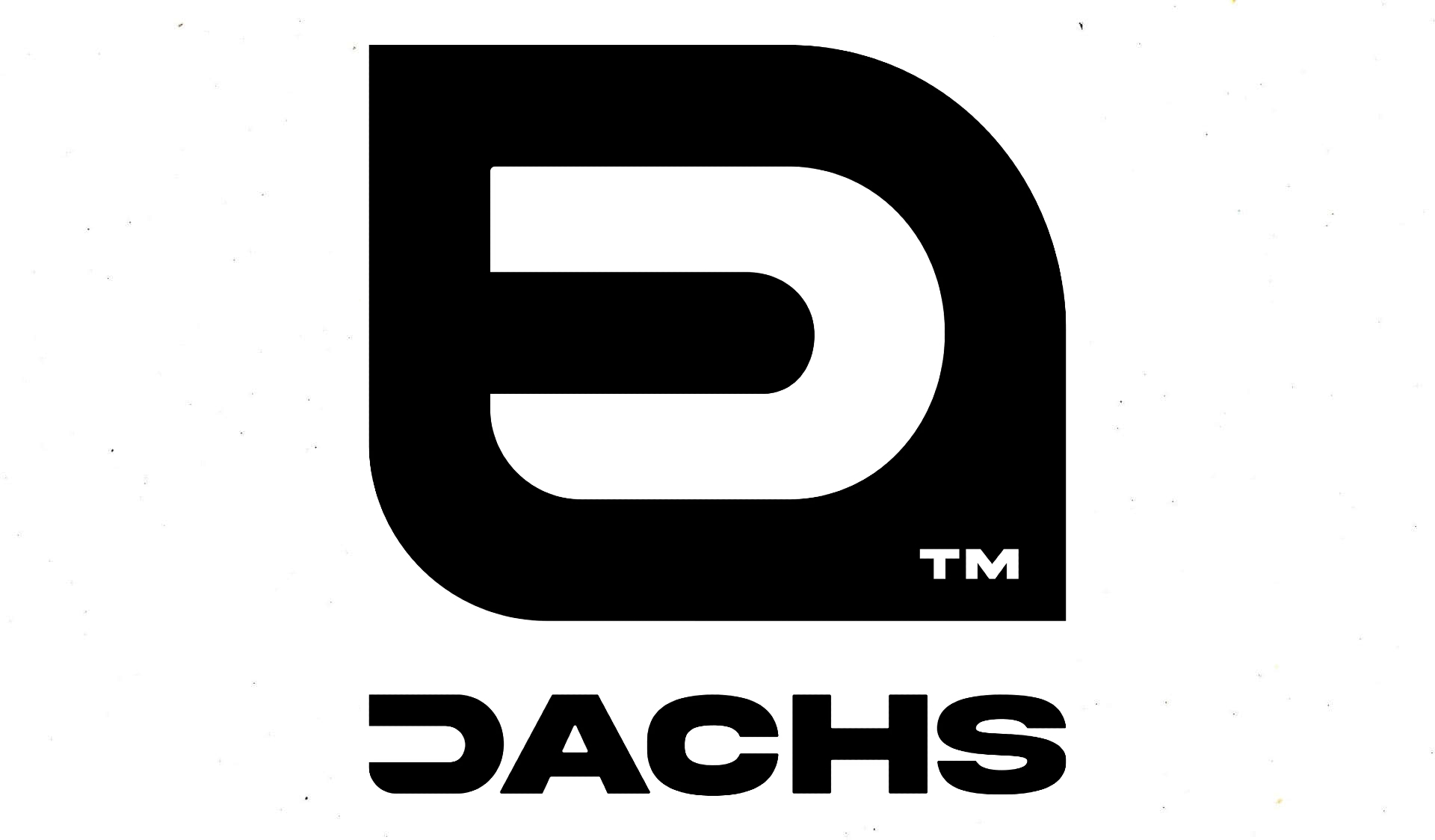 Dachs - Hack Engineering